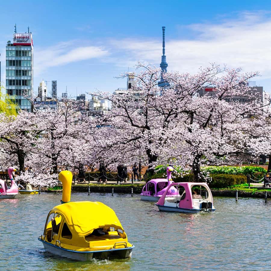 Old Tokyo Walk: Uenos Parks, Temples & Local Neighborhoods | The Abroad ...