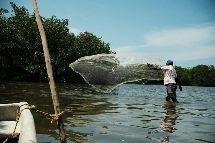 Mangroves, cultural fishing, black heritage town and lunch