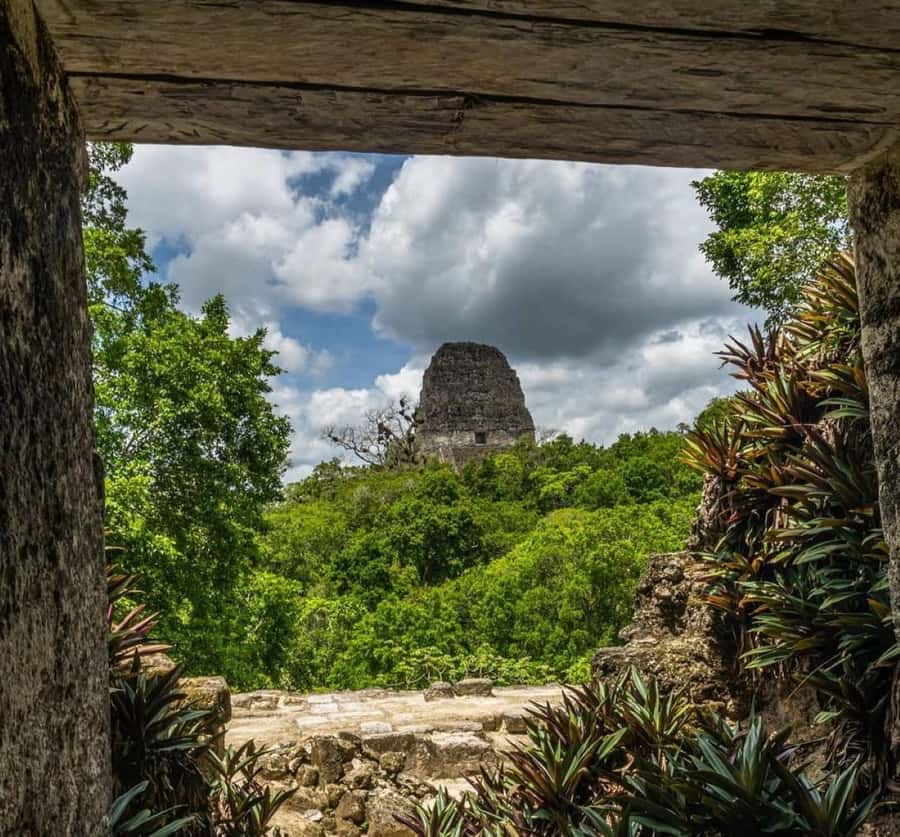 From Flores: Tikal National Park Private Day Trip with Lunch