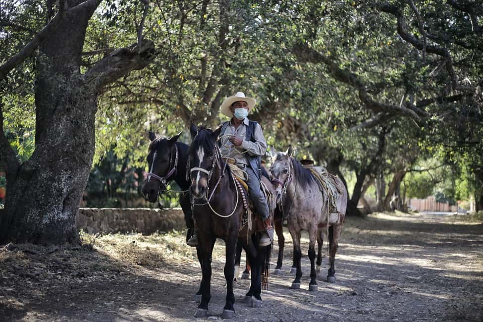 From Guadalajara: Chapala Lake & Ajijic Tour - Transportation and Practicalities
