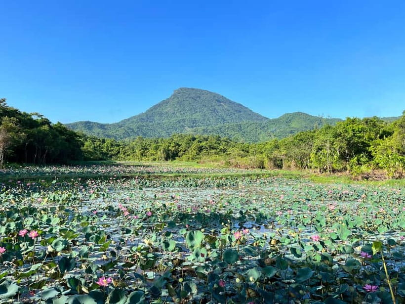 MYSON SANCTUARY - RICE PAPER MAKING DELUXE TOUR FROM DANANG - Summary of Who Will Love This Tour