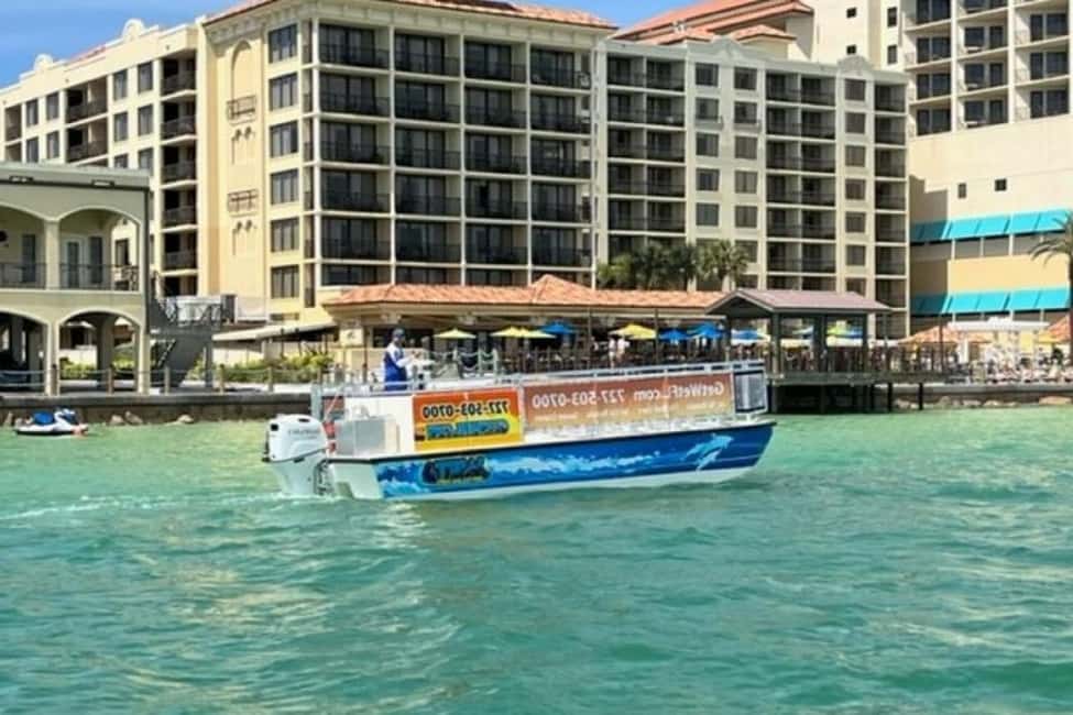 Clearwater Beach: Dolphin-Watching Sunset Cruise