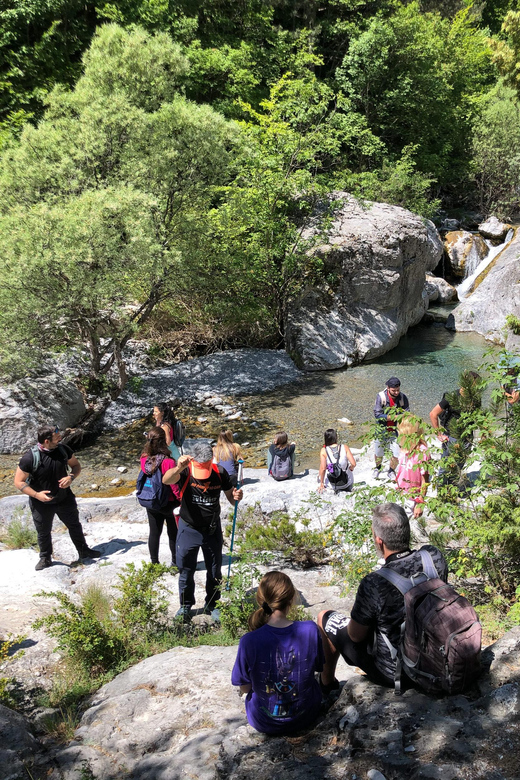 Hiking in Mt Olympus National Park - Who Would Love This Tour?