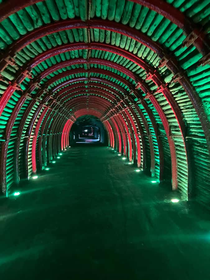 FROM BOGOTA: Salt Cathedral and Andrés Carne de Res Tour (Chía)