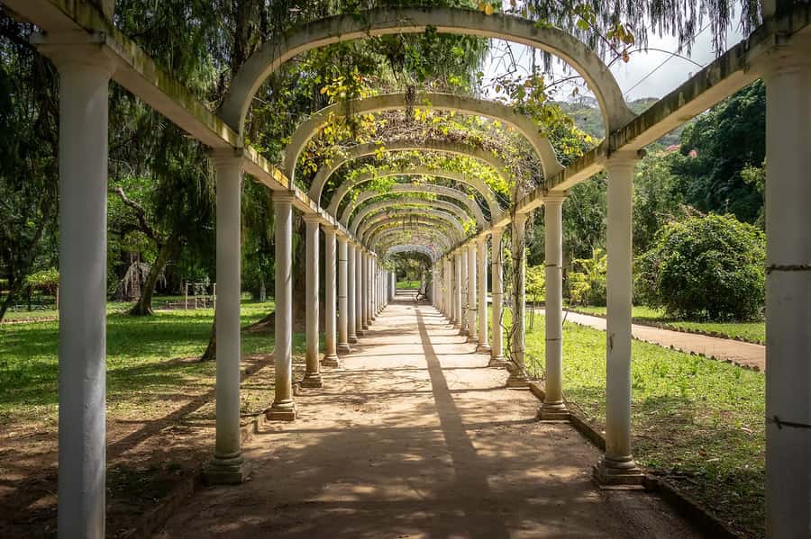 Rio de Janeiro: Tijuca National Park & Botanic Garden Tour