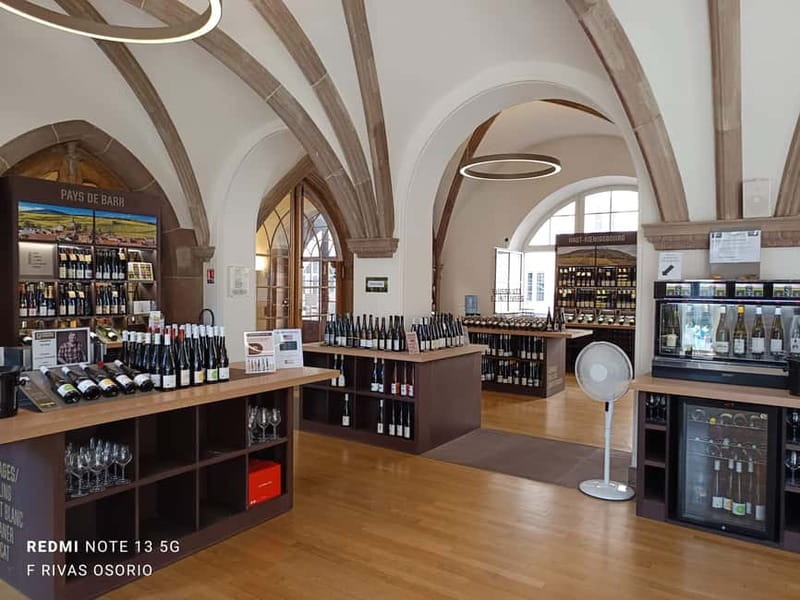 Discover the wines of Alsace and get a brief introduction to Strasbourg - Key Points