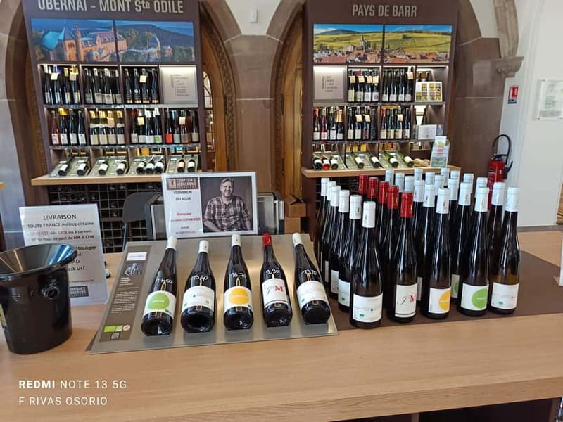 Discover the wines of Alsace and get a brief introduction to Strasbourg - The Experience: What We Love and What to Consider