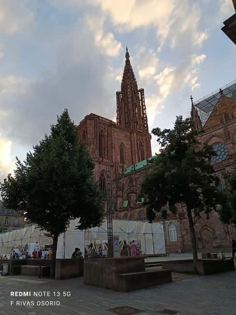Discover the wines of Alsace and get a brief introduction to Strasbourg - Final Thoughts: Is This Tour Worth It?