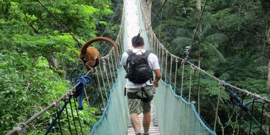Puerto Maldonado: Zip Line, Canopy and Kayaking tour