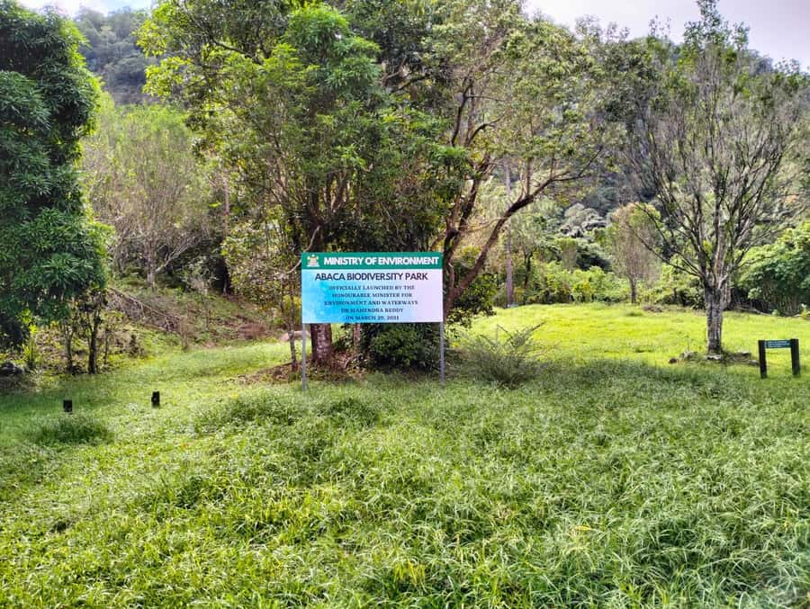 Lautoka CruiseShip Port to Abaca Waterfall Hiking Round Trip