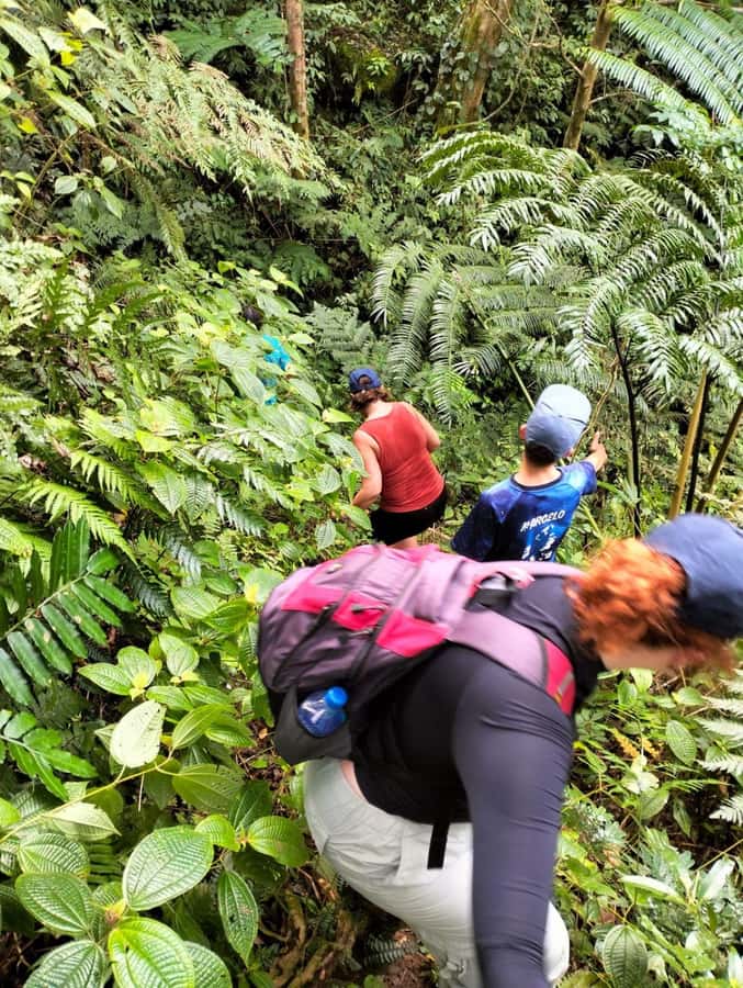 Lautoka CruiseShip Port to Abaca Waterfall Hiking Round Trip