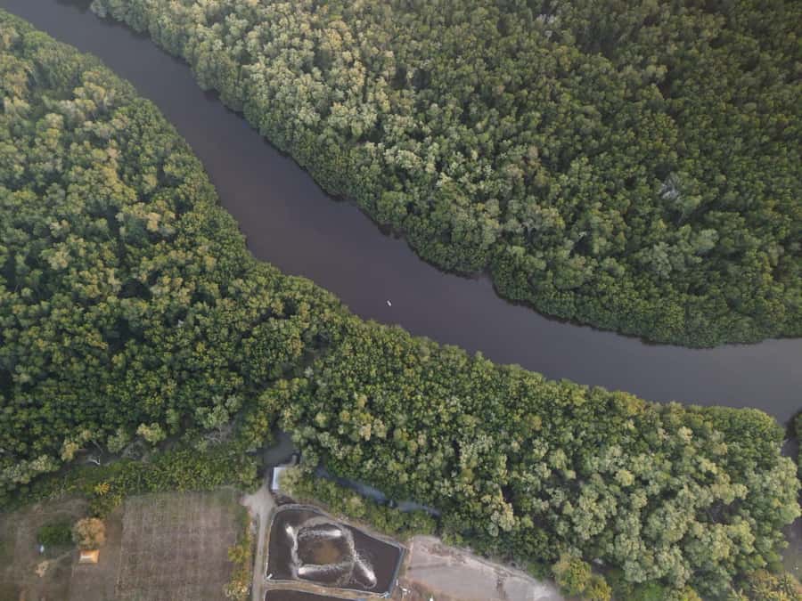 El Paredón: Sea Turtle and Salt Farm Tour