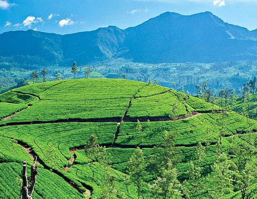 From Kandy: Ella private Day Tour With Train Ride | The Abroad Guide