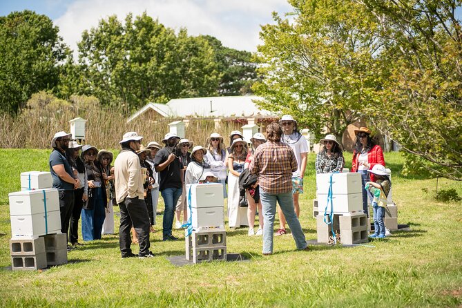 Honey Farm Tour. Morning Tea. Guided Tasting