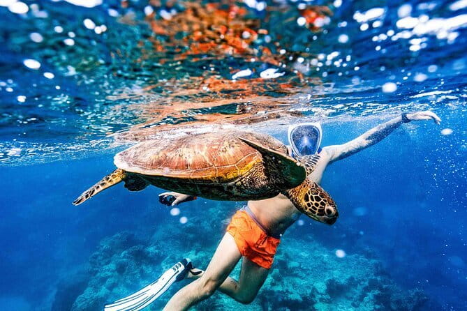 Half-Day Muri Lagoon BBQ Lunch Cruise including Snorkeling - Who Would Love This Experience?