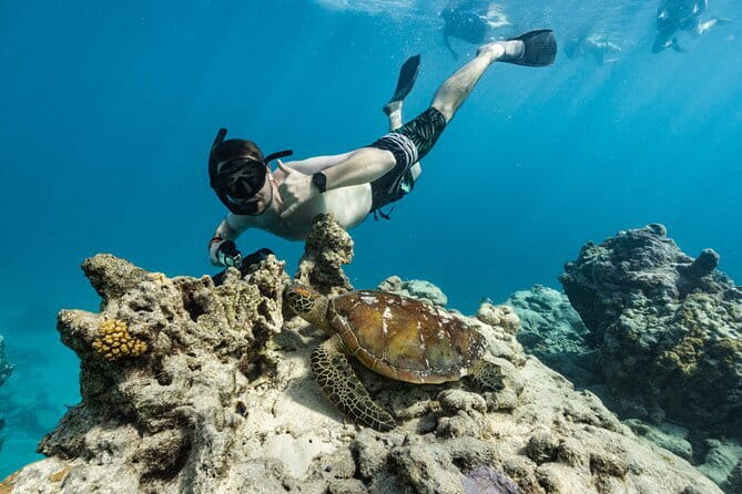 Half-Day Muri Lagoon BBQ Lunch Cruise including Snorkeling - Closing Thoughts