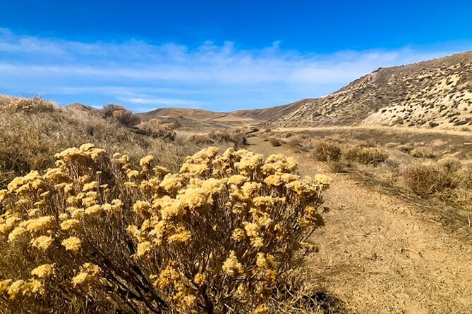 Guided Half-Day Scenic Tour - Off The Beaten Path - Key Points