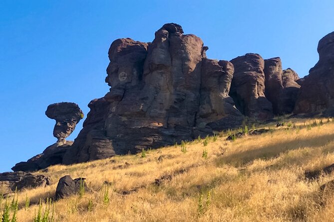 Guided Half-Day Scenic Tour - Off The Beaten Path - FAQ