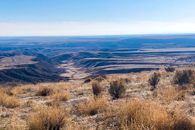 Guided Half-Day Scenic Tour - Off The Beaten Path - Who Should Consider This Tour?