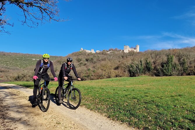 Truffle hunting tour from Rijeka - Who Will Love This Tour?