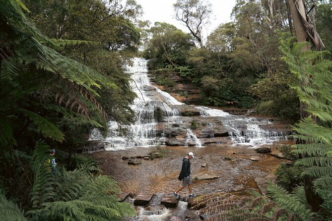 Blue Mountains Adventure w Scenic World, Zoo, Koala Photo & Ferry - Authentic Insights from Travelers