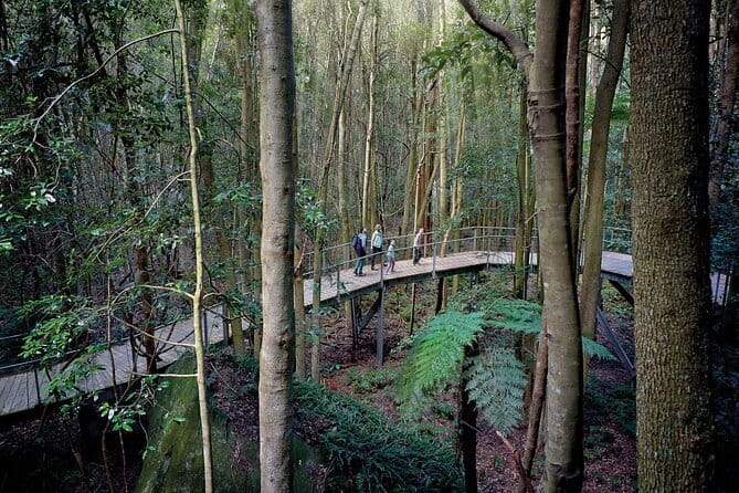 Blue Mountains Adventure w Scenic World, Zoo, Koala Photo & Ferry - The Practical Side: What You Need to Know