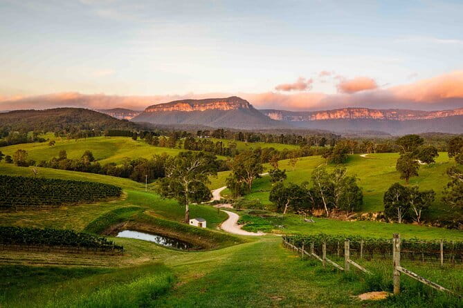 Blue Mountains Adventure w Scenic World, Zoo, Koala Photo & Ferry - Who Would Love This Tour?