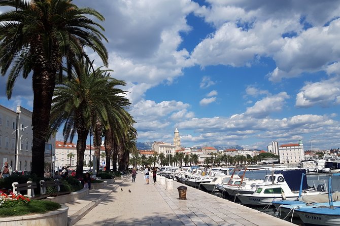 Private Full-day Dubrovnik and Ston Tour from Split - Practical Tips for Travelers