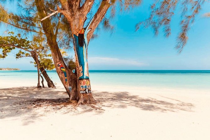 876 Beach Club Day Pass Plus Aqua Park From Falmouth Cruise Port