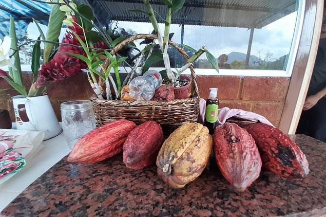 Half-day Chocolate Workshop - Cacao Farm