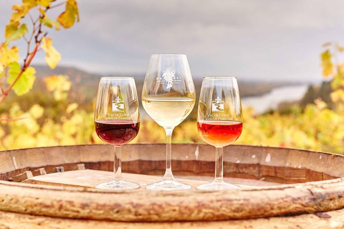 Loire Valley 2 Days private tour all inclusive from Paris with train tickets - Key Points