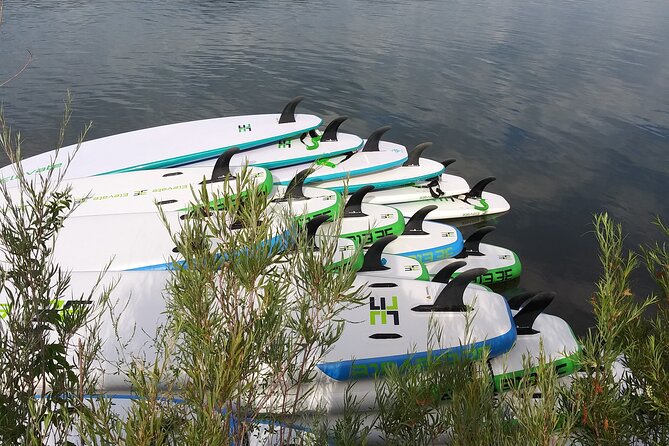 Stand Up Paddleboard Rentals