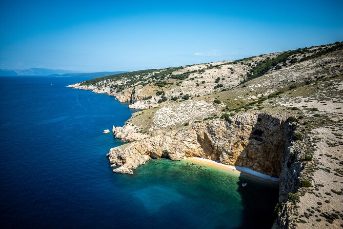 Take a half-day trip to the wild bays with captain Adorio & Dino - Who’s This Tour Best For?