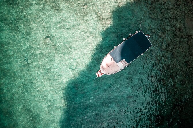 Take a half-day trip to the wild bays with captain Adorio & Dino - A Close Look at the Tour Itself