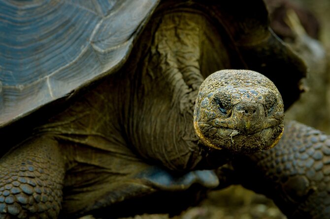 12-Day Galapagos Superior Adventure (Tourist Class)