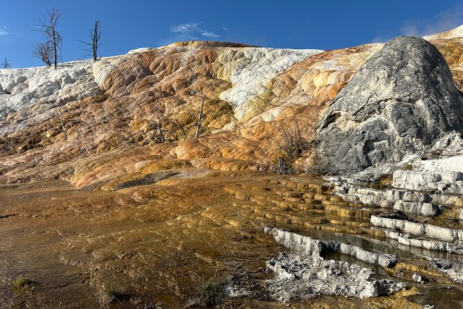 Yellowstone Park Private Day Trip from Big Sky - Full or Half Day