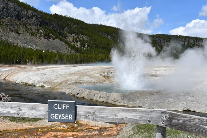 Yellowstone Park Private Day Trip from Big Sky - Full or Half Day