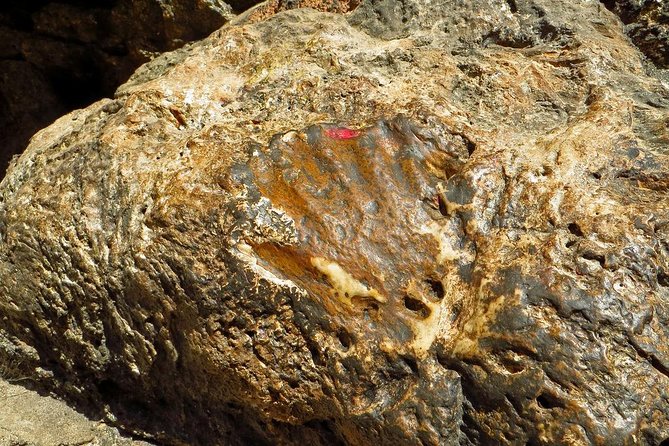 Half Day Yanglesho (Pharping) Sightseeing With A Short Hike From Kathmandu