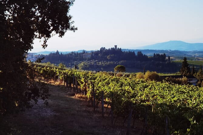 Chianti Classico E-bike Tour - The Sum Up