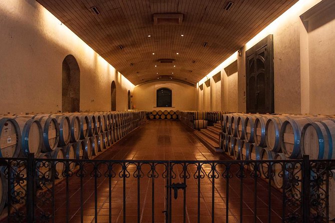 Small-Group Half Day Tour to Concha y Toro Winery