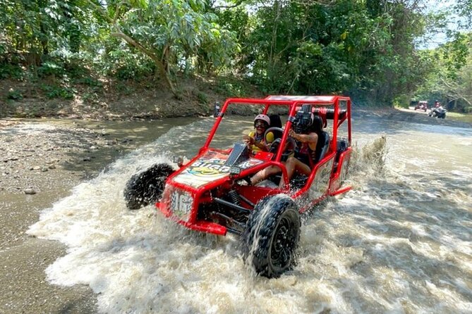 2x1: Monkeys Land Plus Drive a Dune Buggy in Puerto Plata