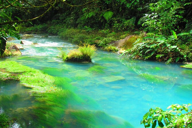 From La Fortuna: Río Celeste Waterfall, Tubing Tour and Lunch