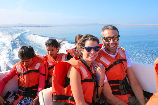 Paracas Reserve & Ballestas Islands Tour from Lima - Private Trip