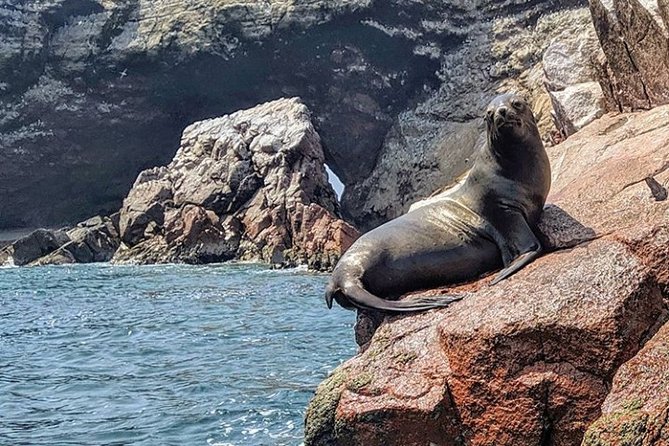 Paracas And Nazca Lines Full Day