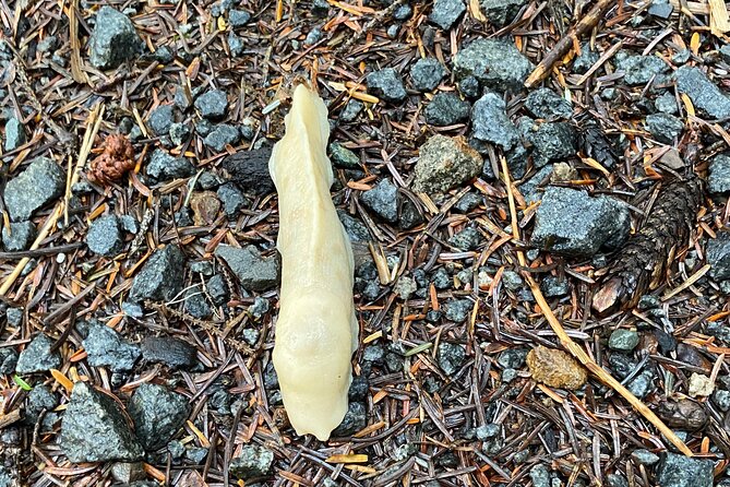 Ketchikan Alaska private tour