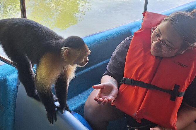 Monkey Island: The Wild Life Safari at Gatun Lake